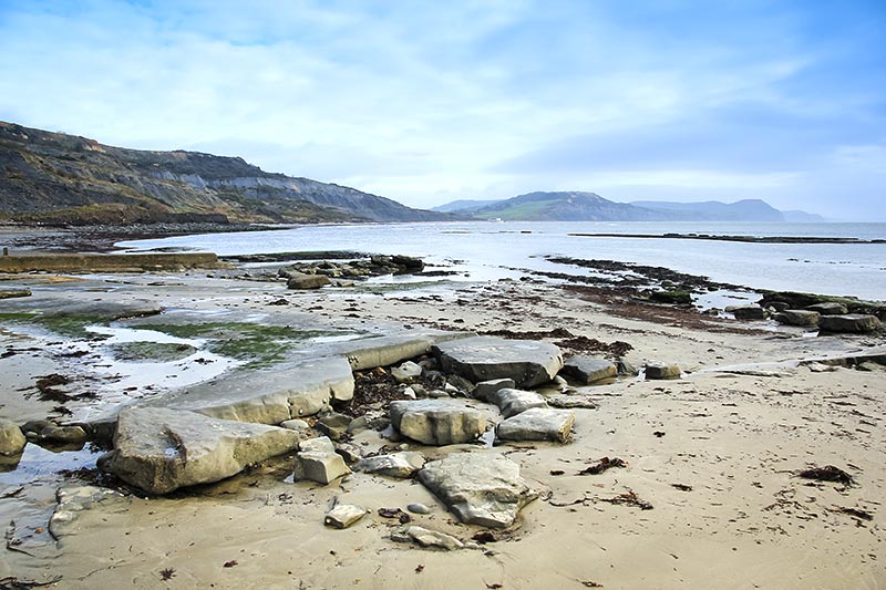 Lyme Regis Beaches (Front & Church Cliff) | Natureflip