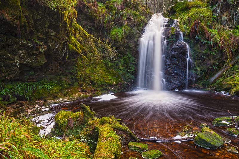 Hindhope Linn Waterfall | Natureflip