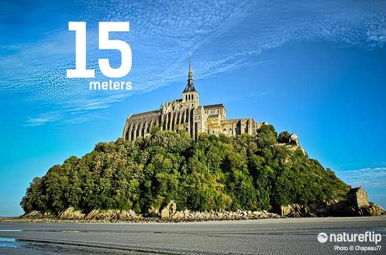 Wild Numbers Articles | Natureflip