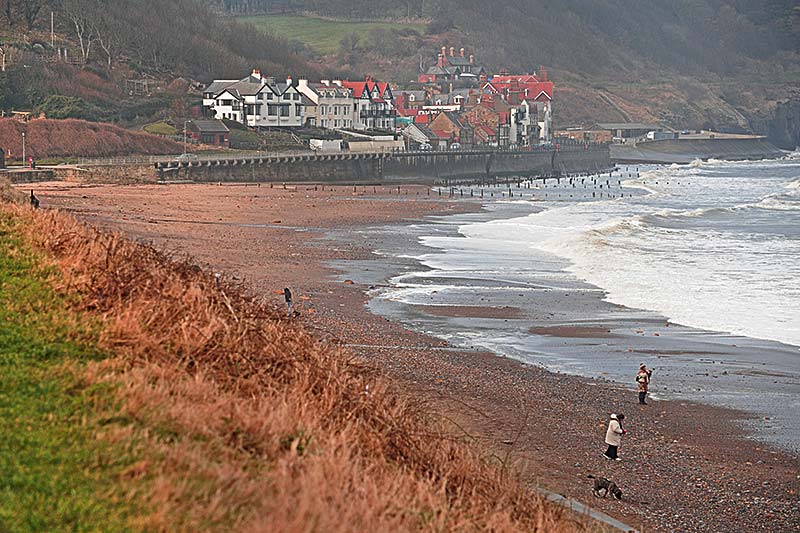 Sandsend Beach | Natureflip