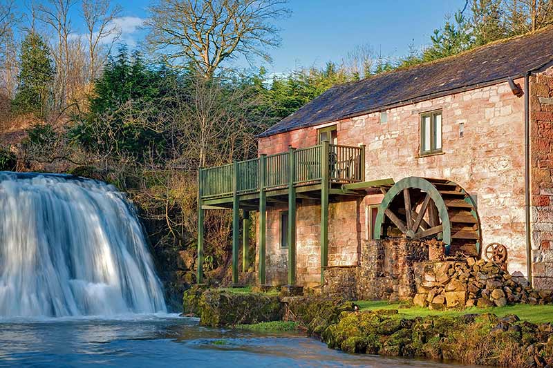 Rutter Force | Natureflip