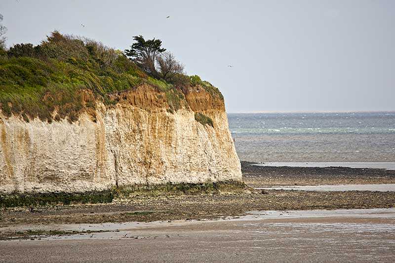 Pegwell Bay Country Park | Natureflip